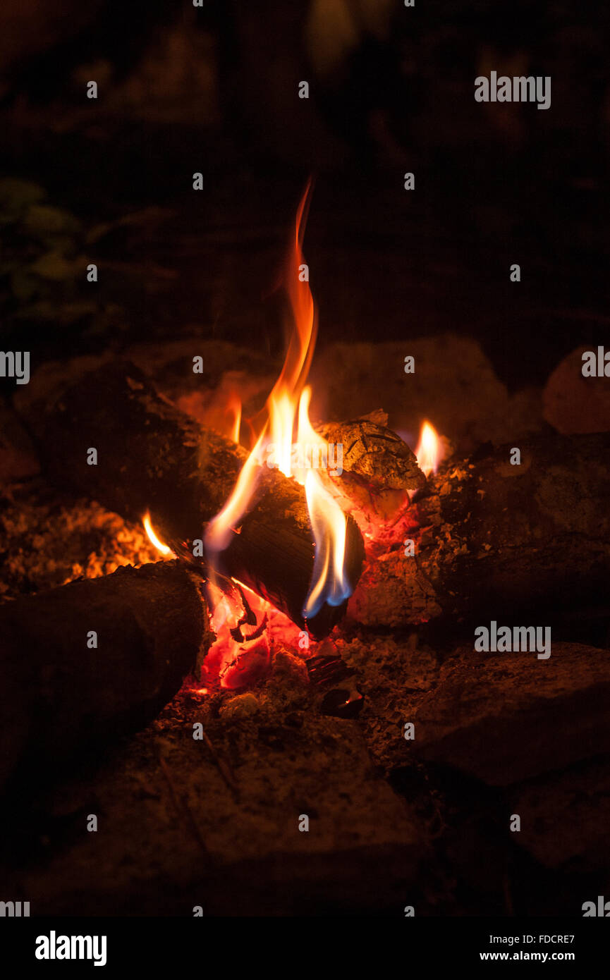 Klint janulis hi-res stock photography and images - Alamy