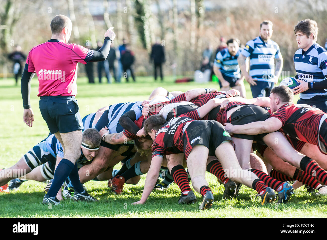 Aberystwyth, West Wales, UK 30th January 2016 Sport. Aberystwyth RFC ...