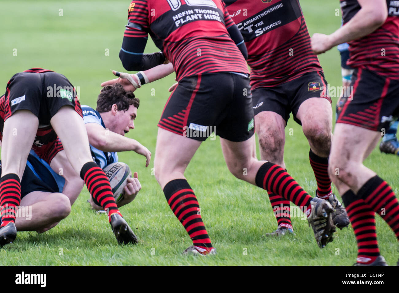 Rugby shorts down hi-res stock photography and images - Alamy