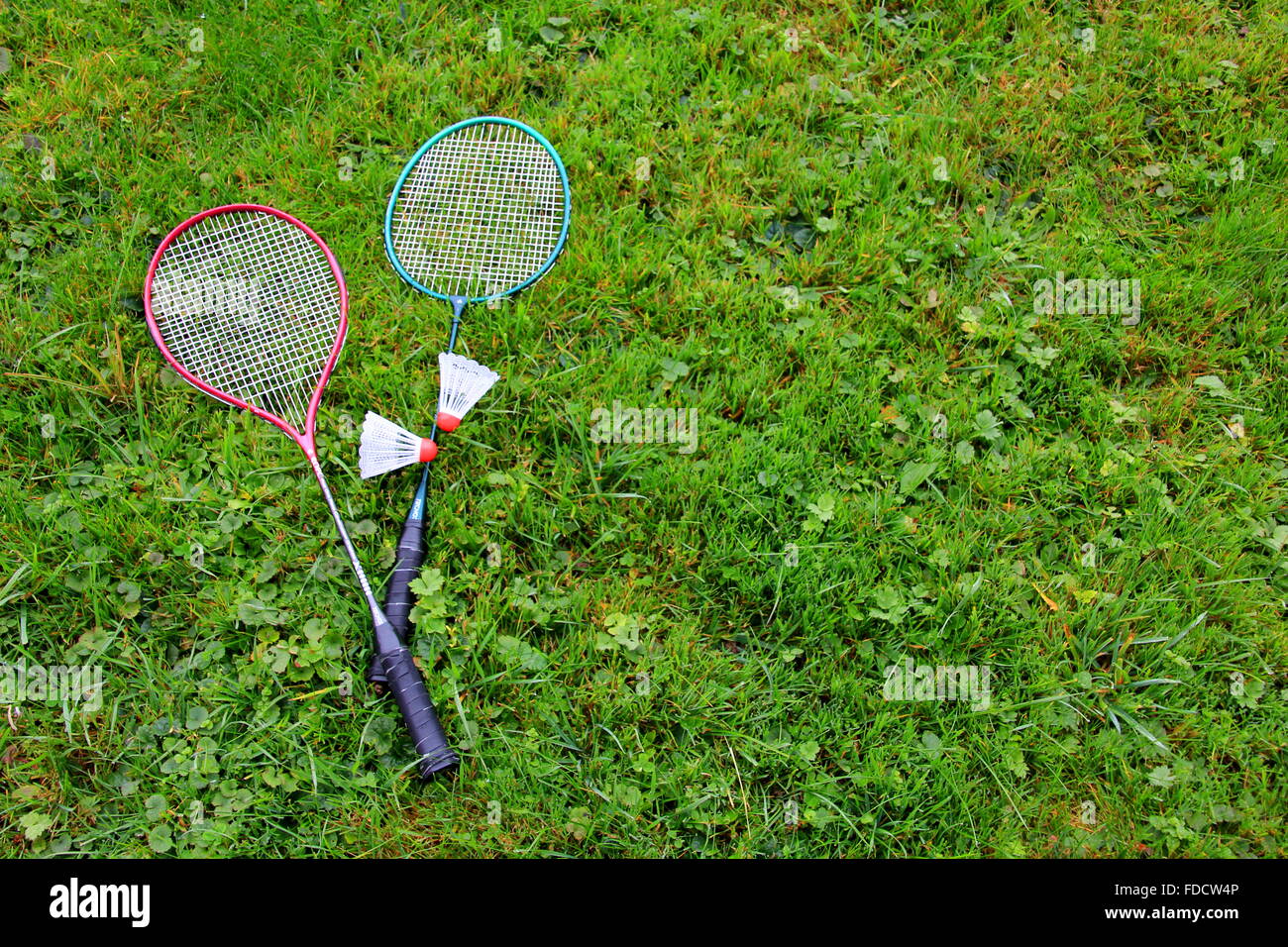 badminton rackets in the grass Stock Photo - Alamy