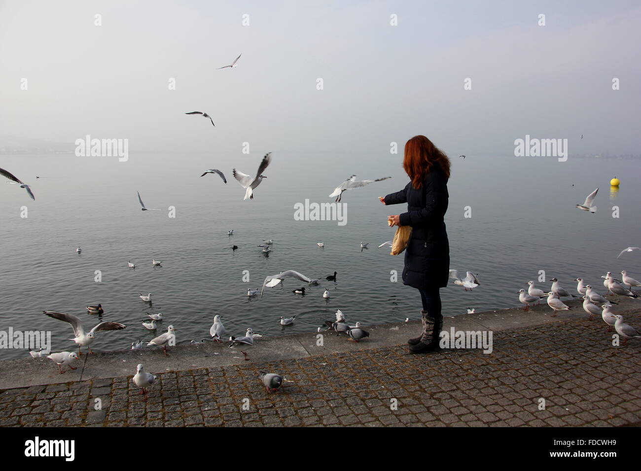 Woman and seagull hi-res stock photography and images - Alamy