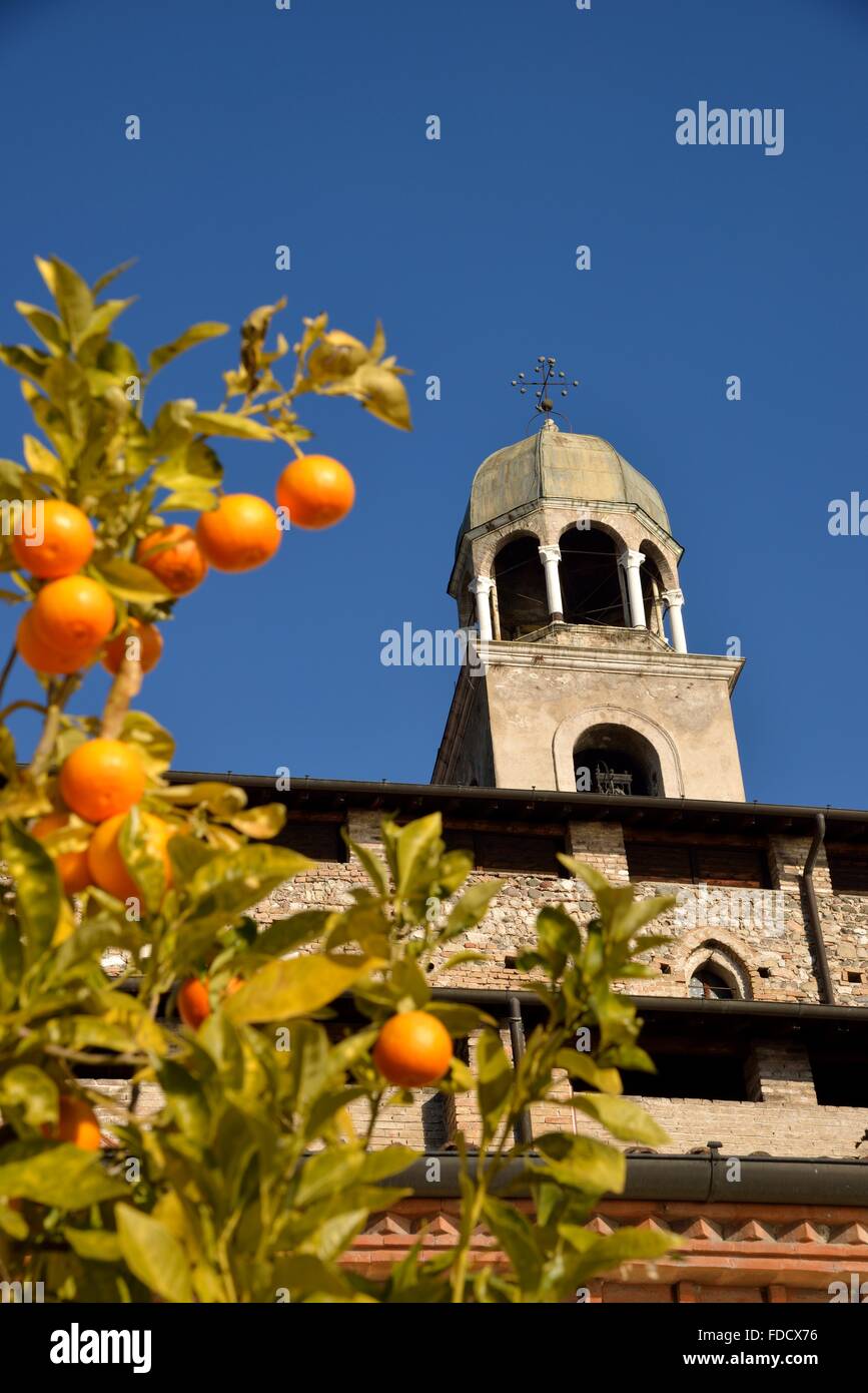 Orange Tree in front of Duomo di Santa Maria Annunziata, Salo, Lake ...