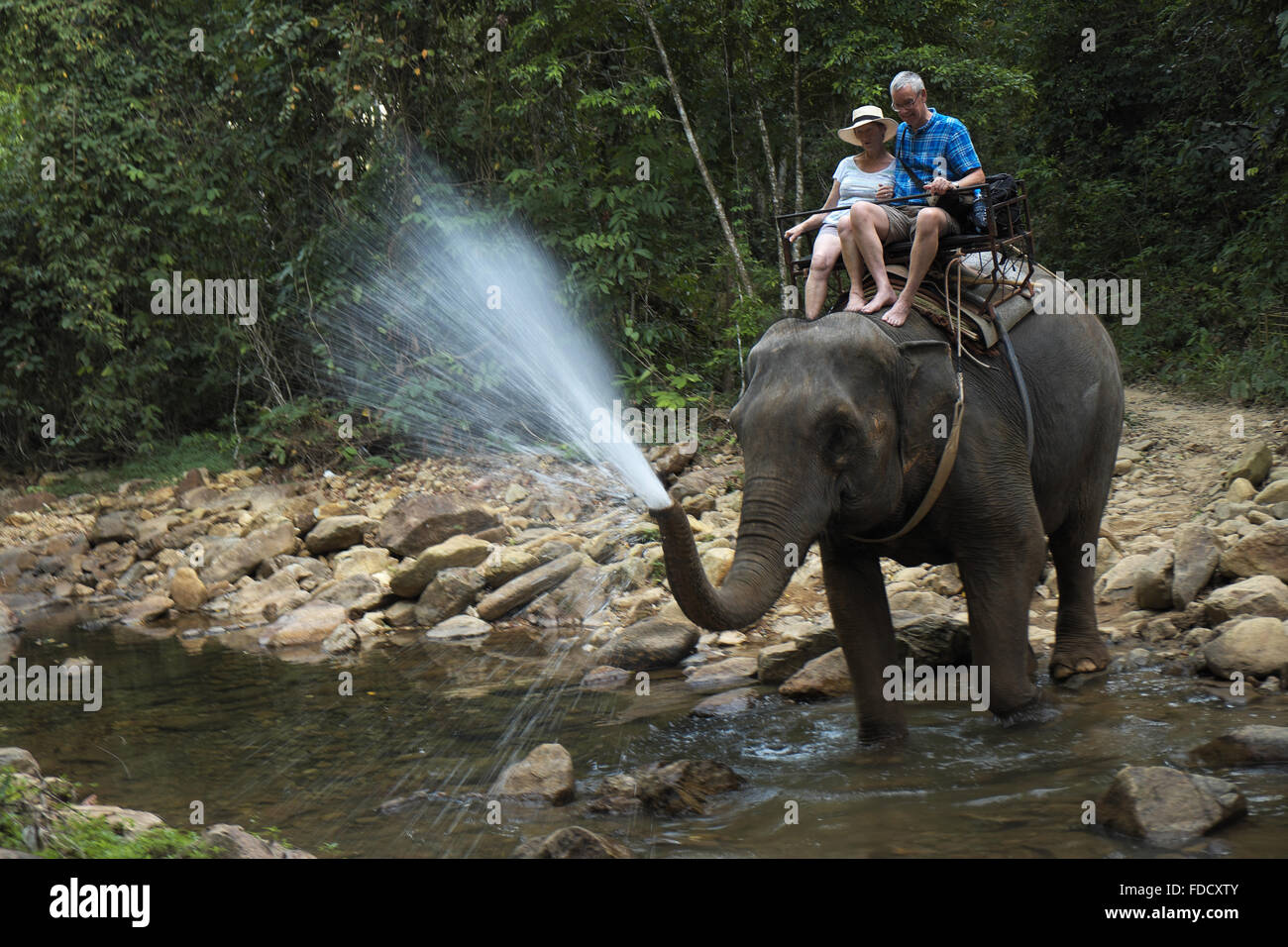 An elephant trek, Ban Kwan Chang Elephant Trekking (above Klong Son ...
