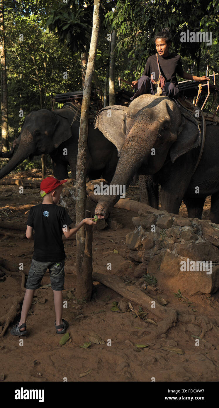 Chang young hi-res stock photography and images - Alamy