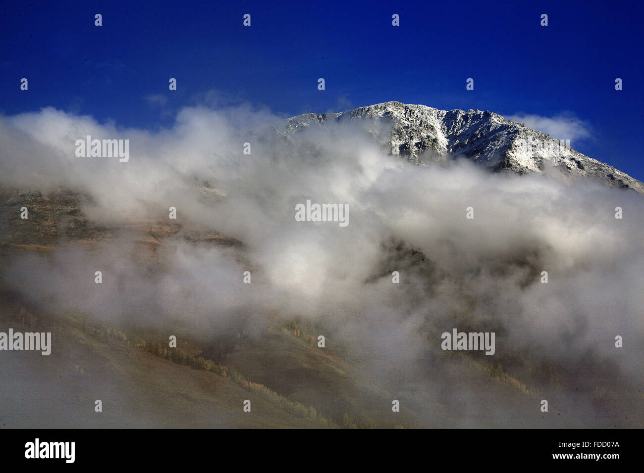 Xinjiang Erjin Country Kanasi grasses scenery Stock Photo - Alamy