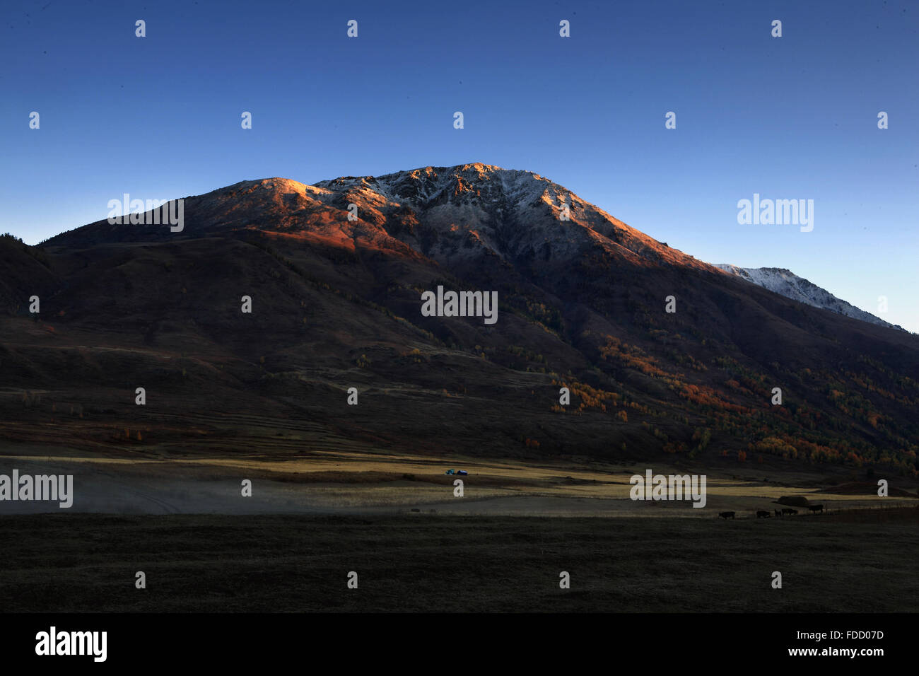 Xinjiang Erjin Country Kanasi grasses scenery Stock Photo - Alamy