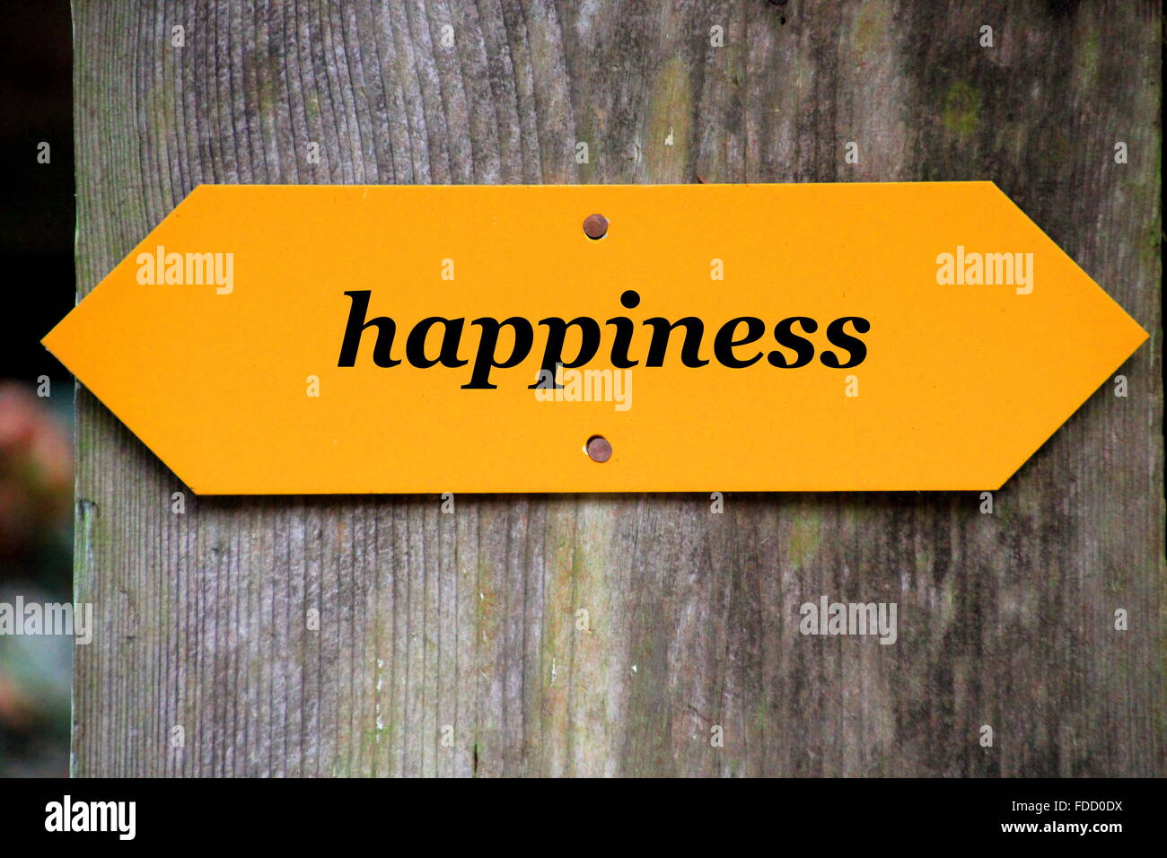 happiness written on a yellow direction sign Stock Photo - Alamy