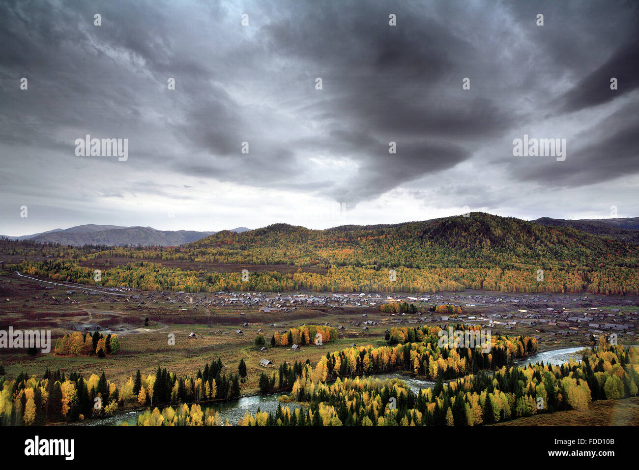 Xinjiang Erjin Country Kanasi grasses scenery Stock Photo - Alamy