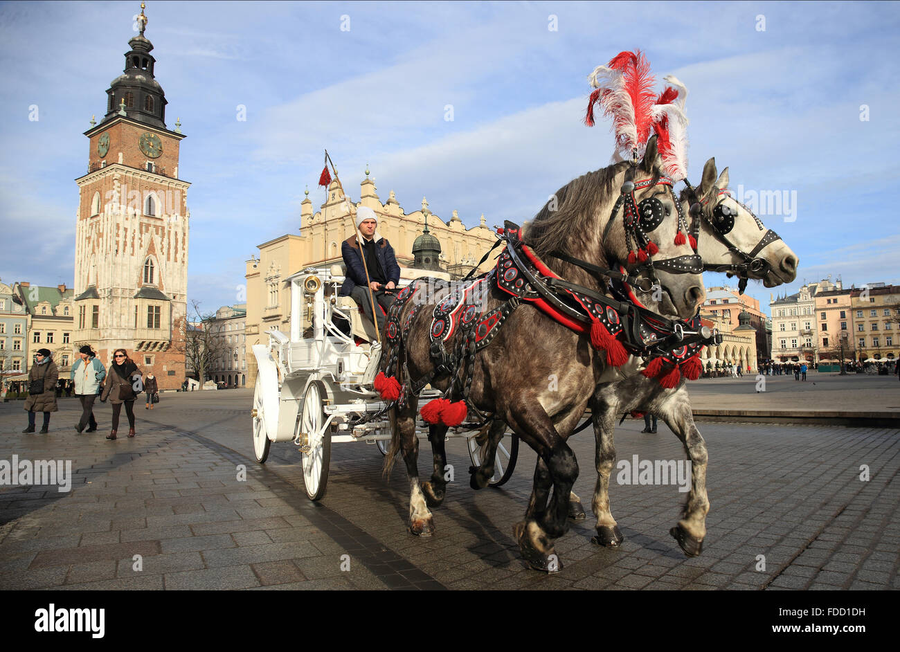 Krakow, Poland. 30th Jan, 2016. A horse drawn carriage in the Main ...
