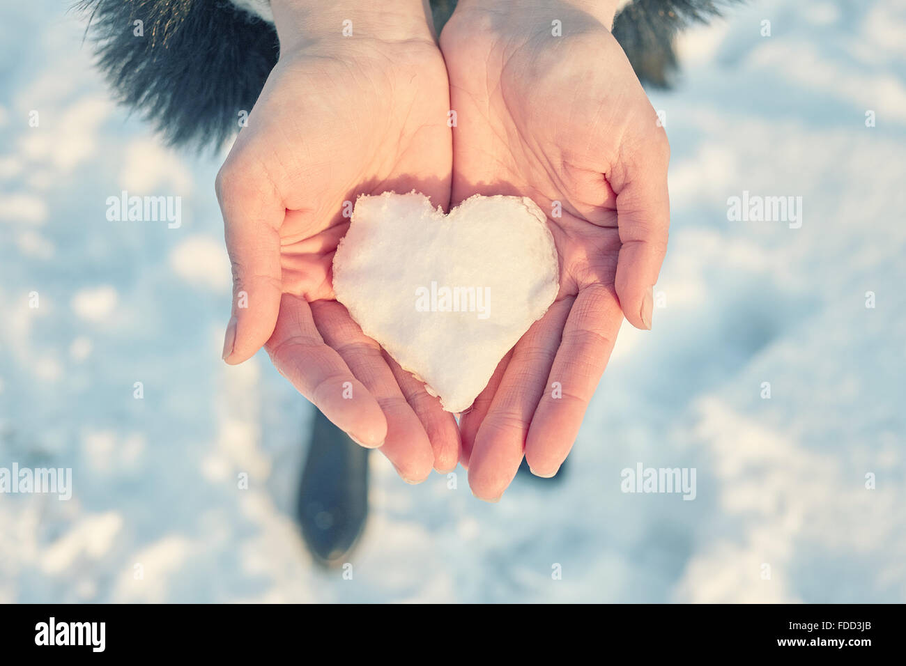 Snow heart in hands hi-res stock photography and images - Alamy