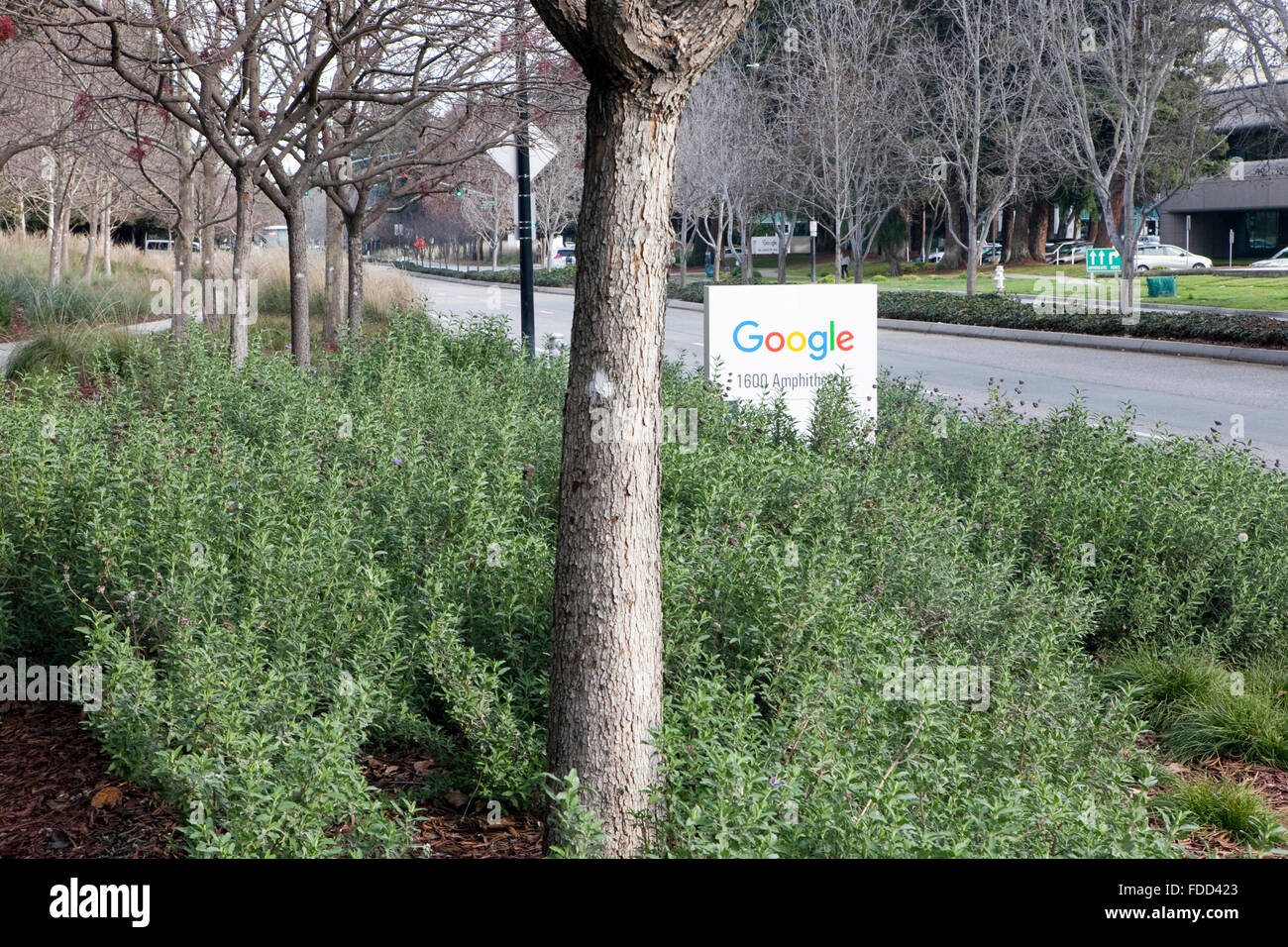 A view of Alphabet's corporate campus in Mountain View, California ...