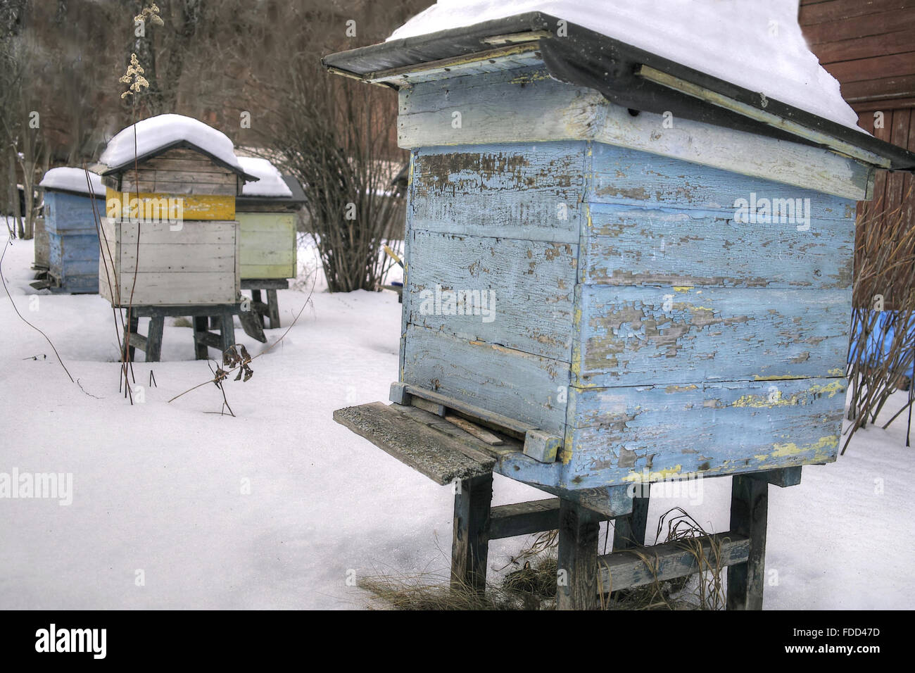 Bee Hives In Winter Stock Photo - Alamy