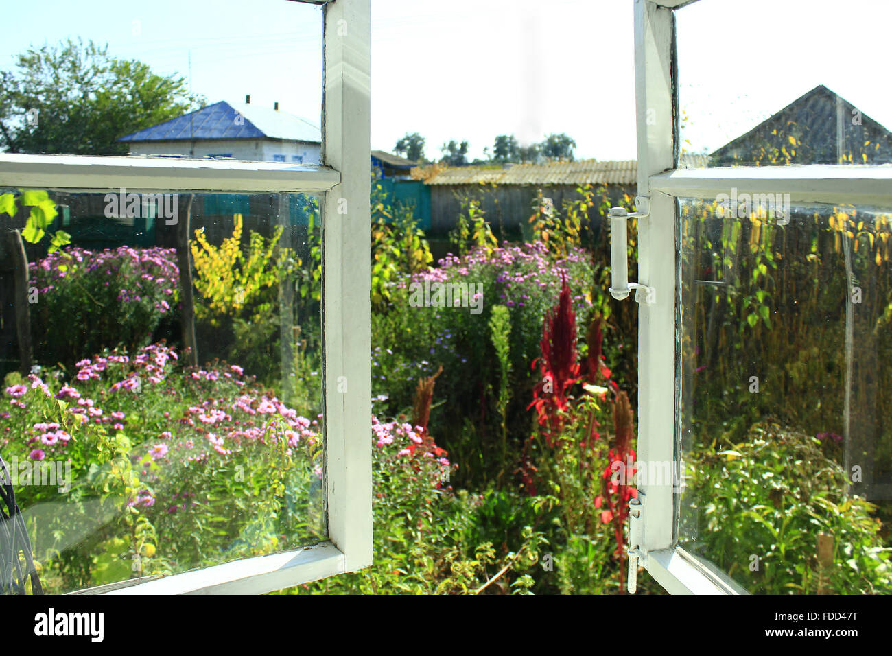 opened window to the summer garden in the village with flowers Stock ...