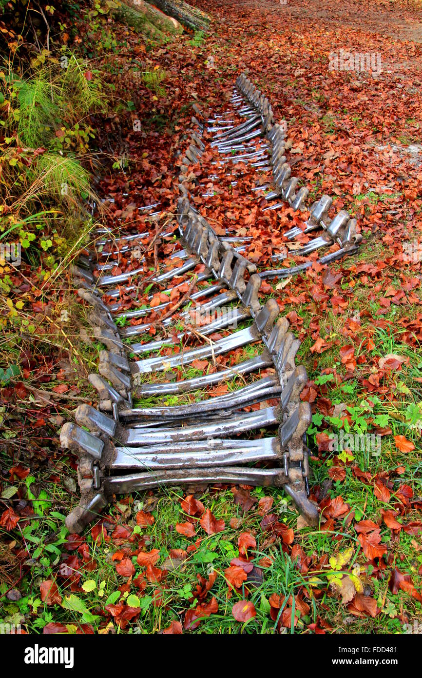 excavator chains in the forest on the ground Stock Photo - Alamy