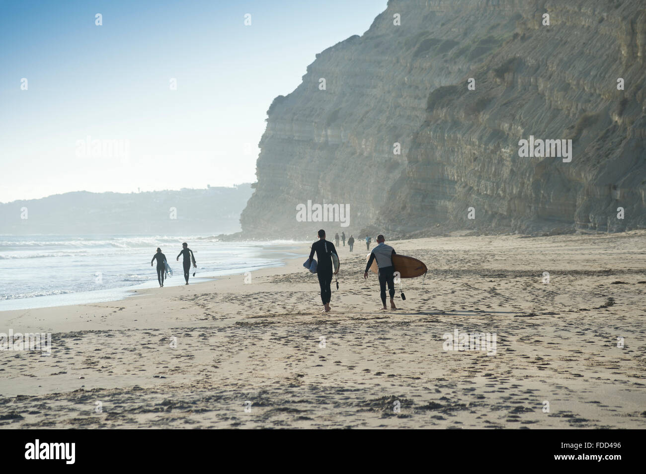 Surfers walking on a beach carrying their surf boards Stock Photo - Alamy