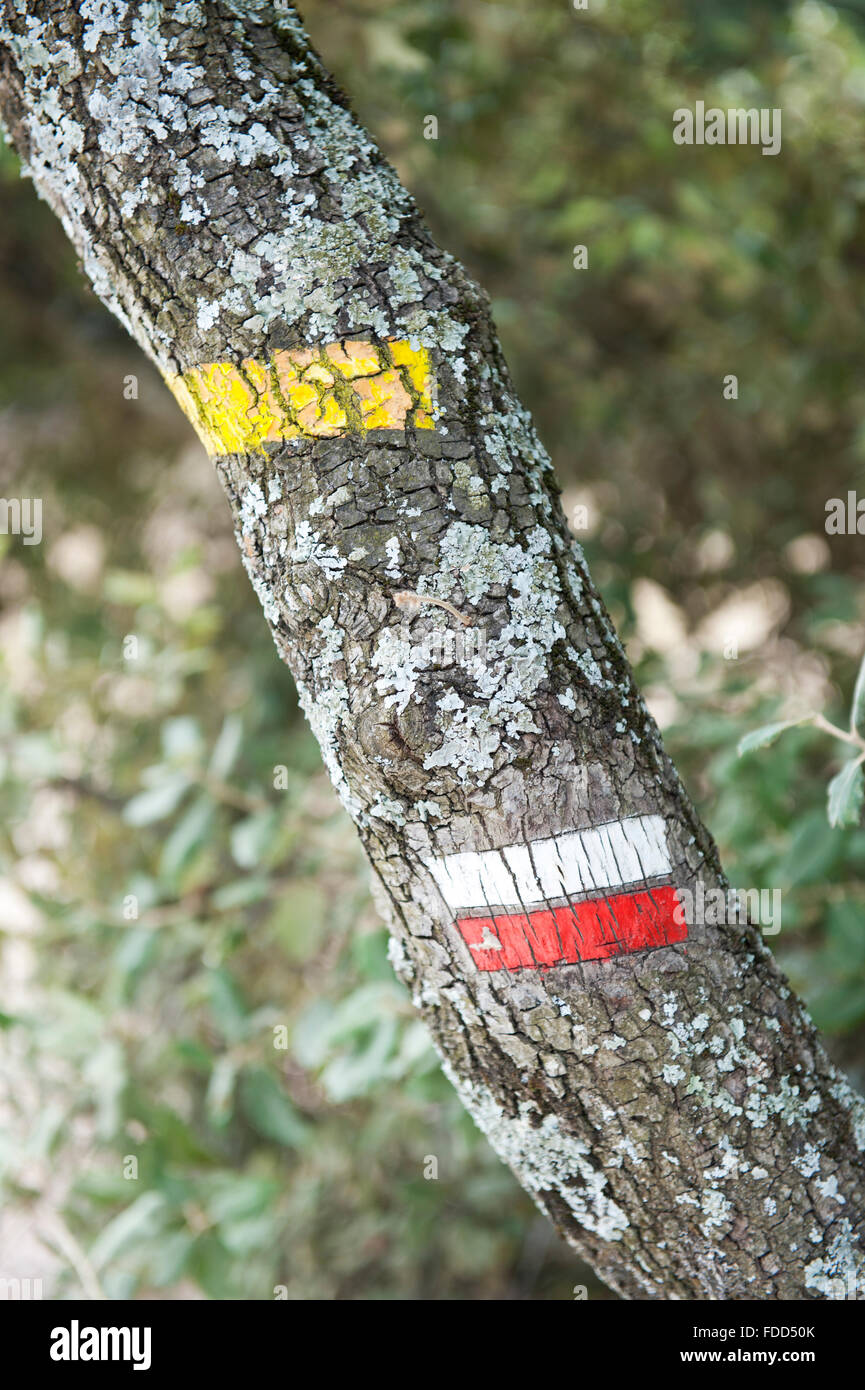 Tree bark with footpath painted sign in yellow and red/white color ...