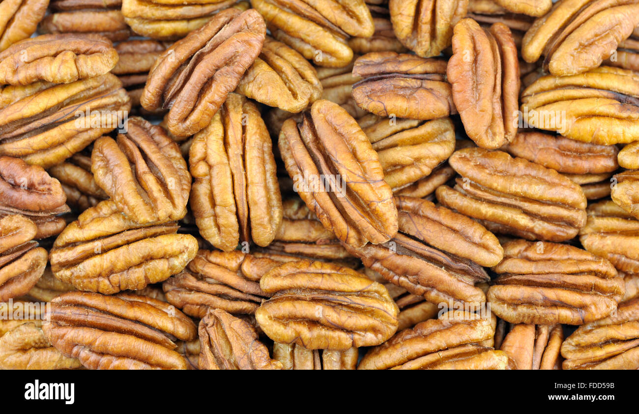 Shelled Pecan nuts, also known as Hicory nuts Stock Photo - Alamy