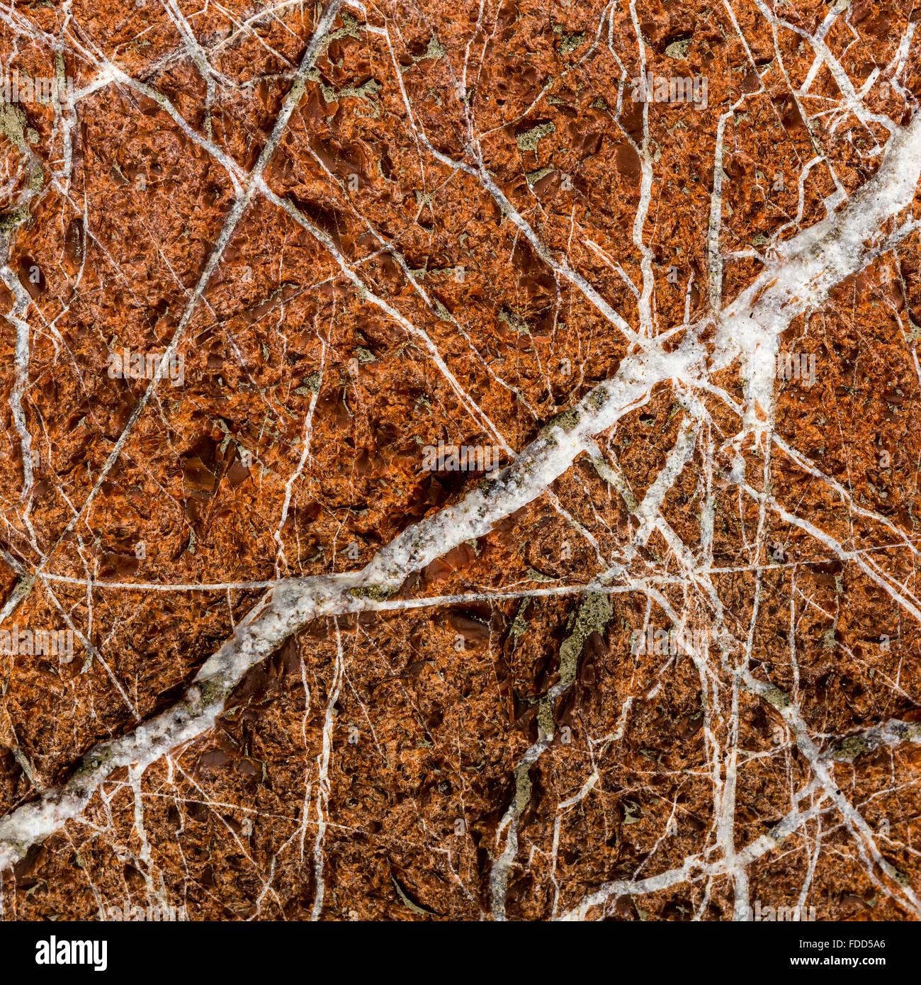 Rock Veins High Resolution Stock Photography and Images - Alamy
