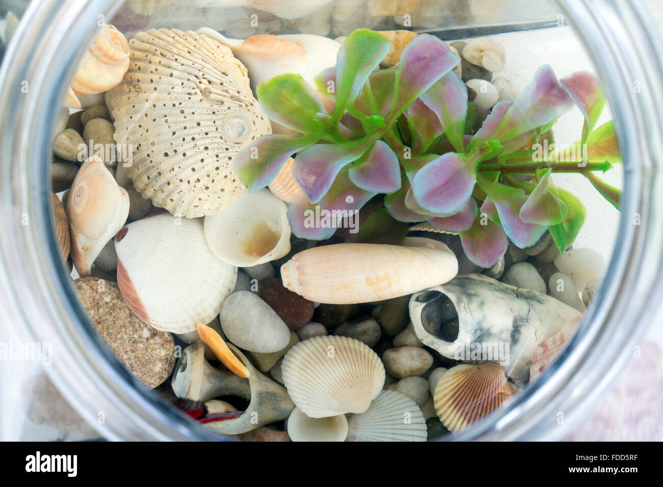 Hign angle view hi-res stock photography and images - Alamy