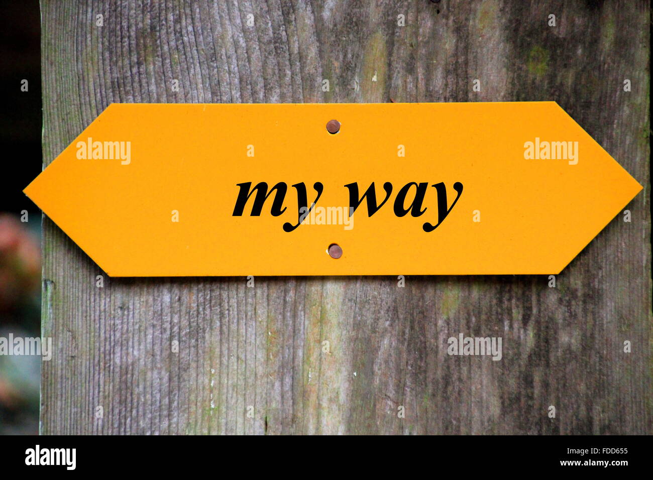 Direction decision hi-res stock photography and images - Alamy