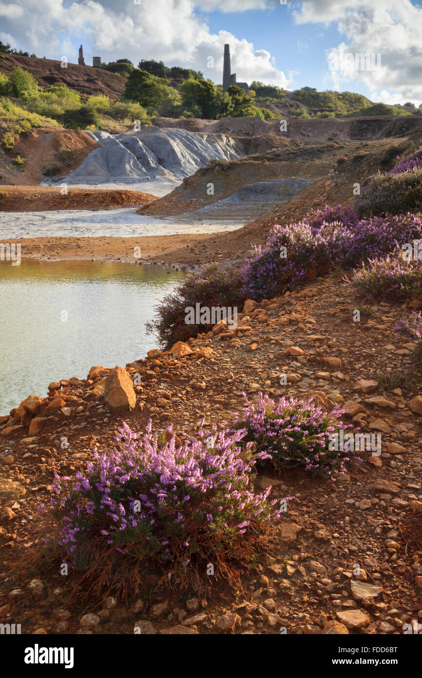 Crofthandy hi-res stock photography and images - Alamy