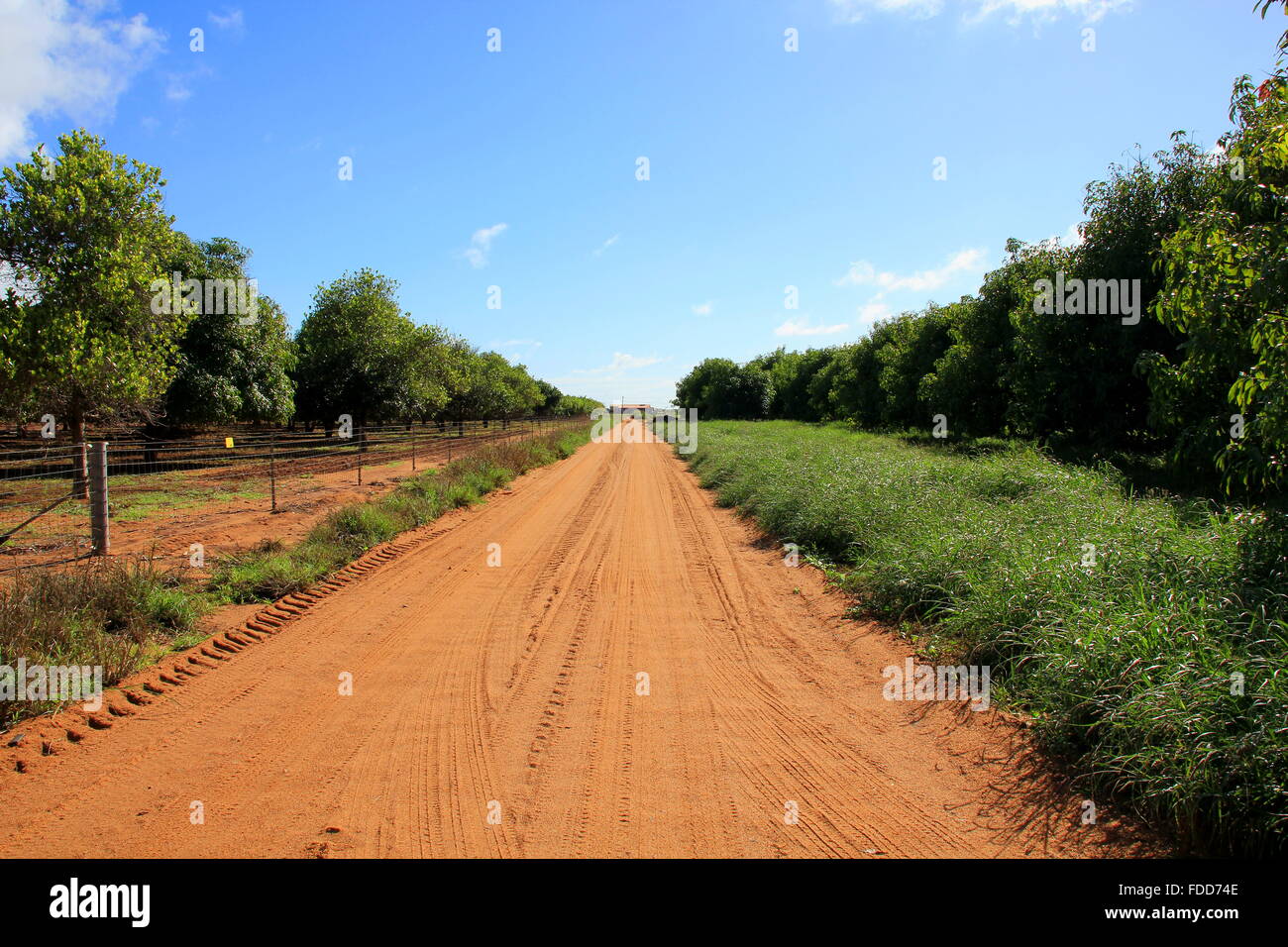 straight driveway in australia Stock Photo - Alamy
