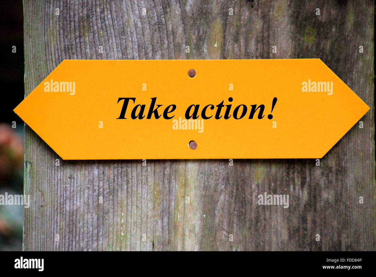 Action learning hi-res stock photography and images - Alamy