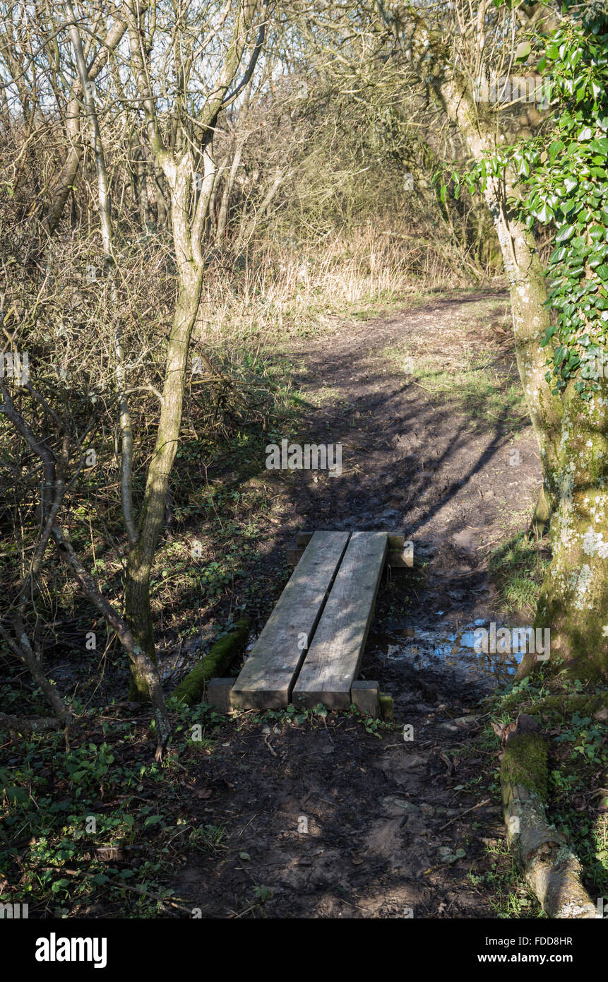 Wooden bridge over a stream in a footpath in the Sussex countryside, UK ...