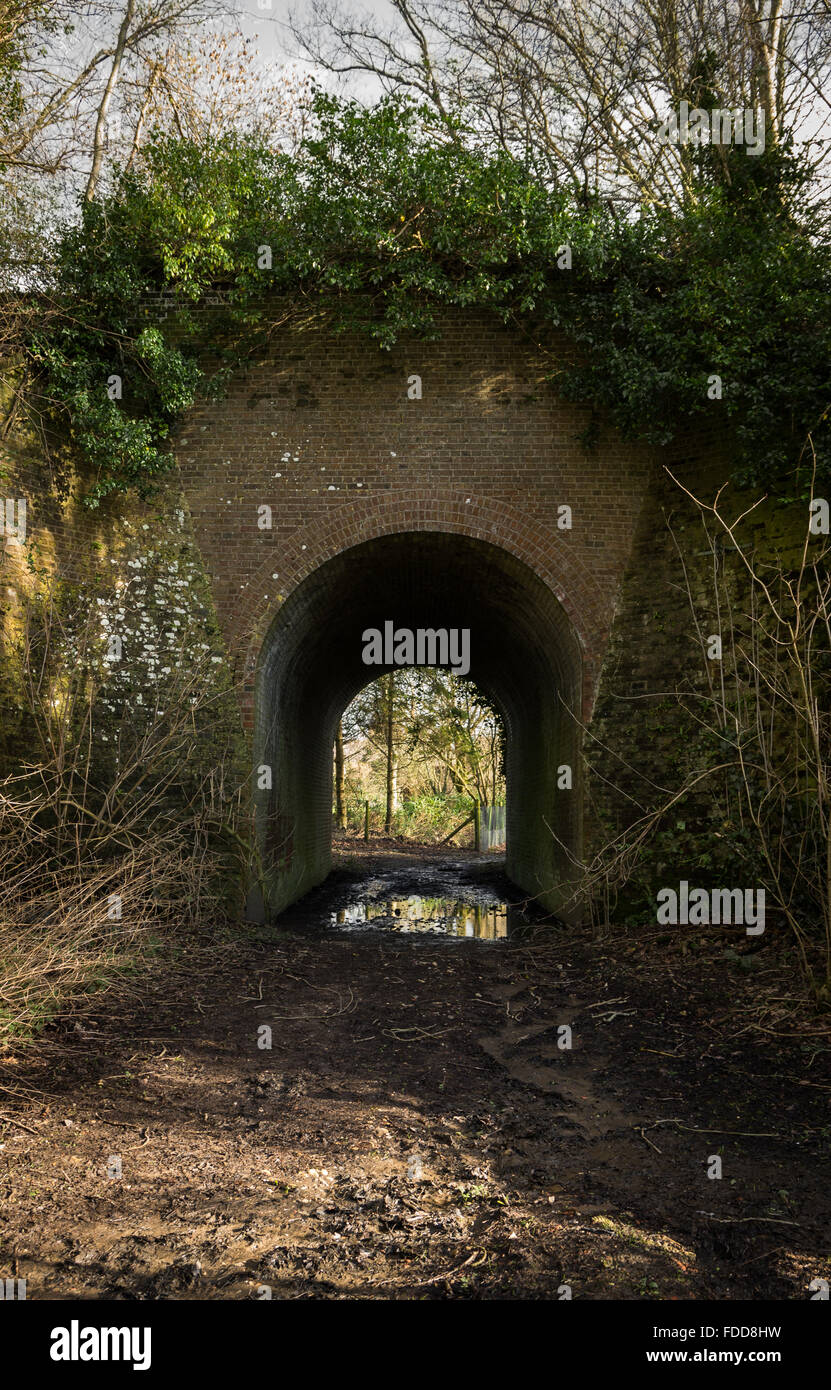 Old cattle tunnel under an old railway line in the Sussex countryside ...