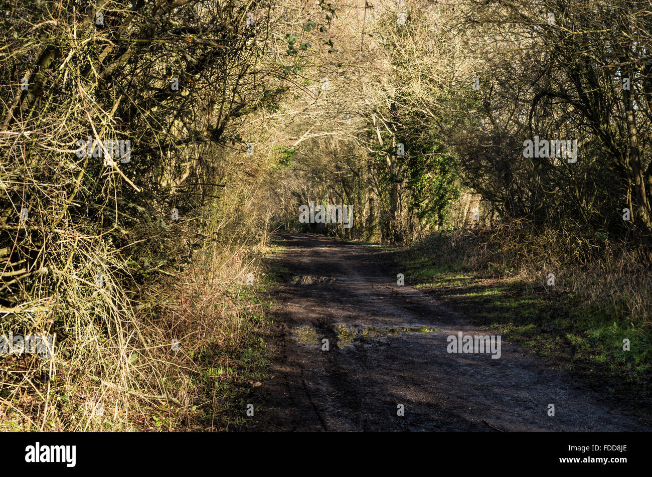 Old closed railway line hi-res stock photography and images - Alamy