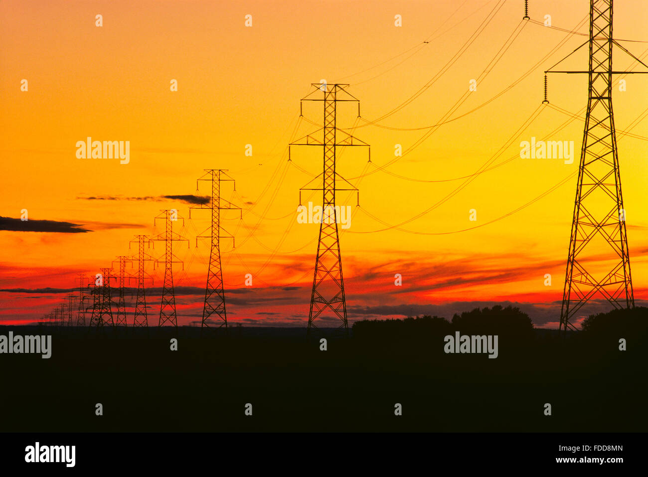transmission lines at sunrise in Alberta, Canada Stock Photo - Alamy
