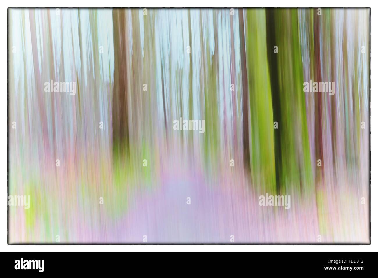 A slow shutter speed coloured photo of trees in a forest showing green ...