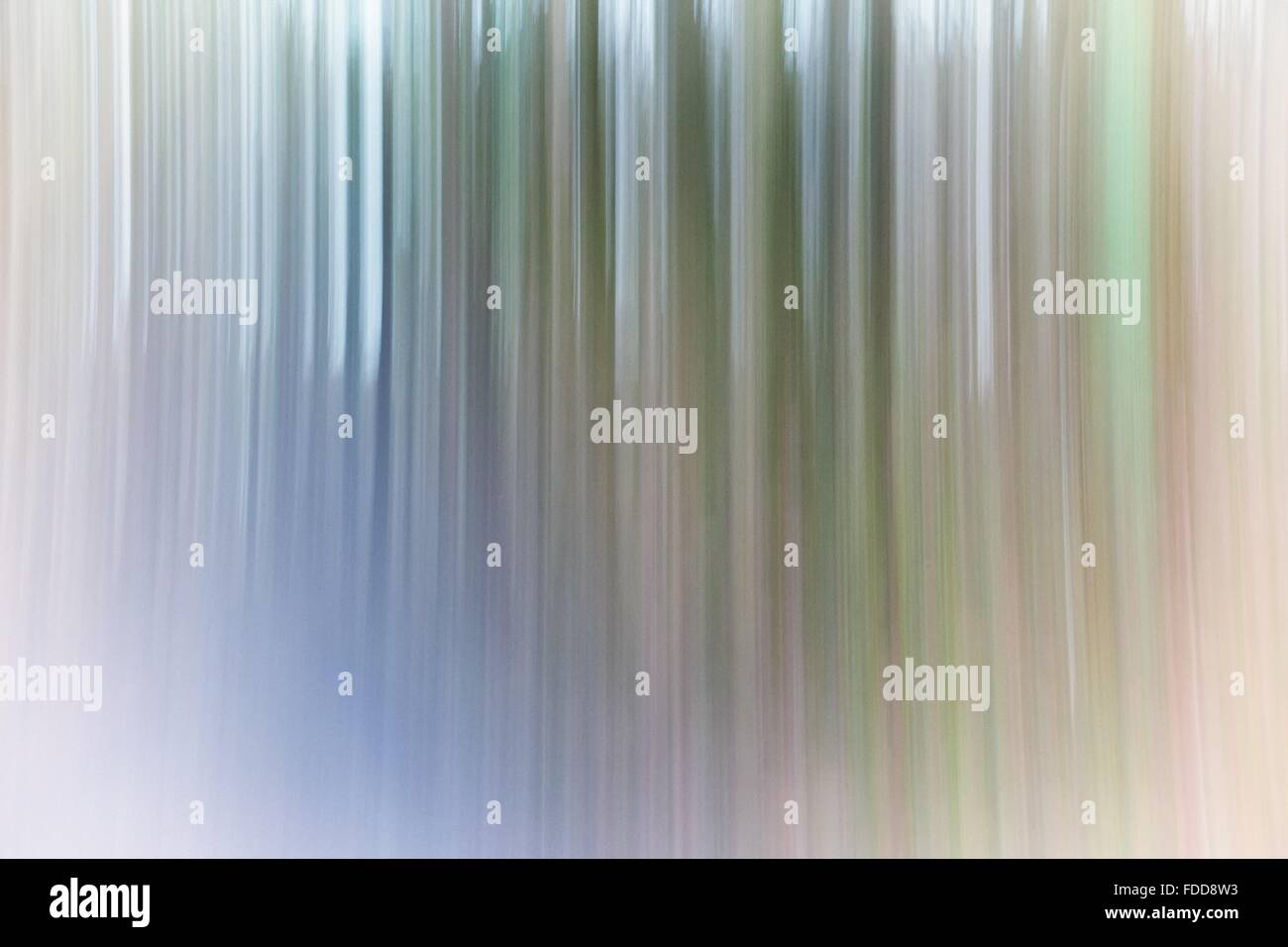 A slow shutter speed coloured photo of trees in a forest showing green ...