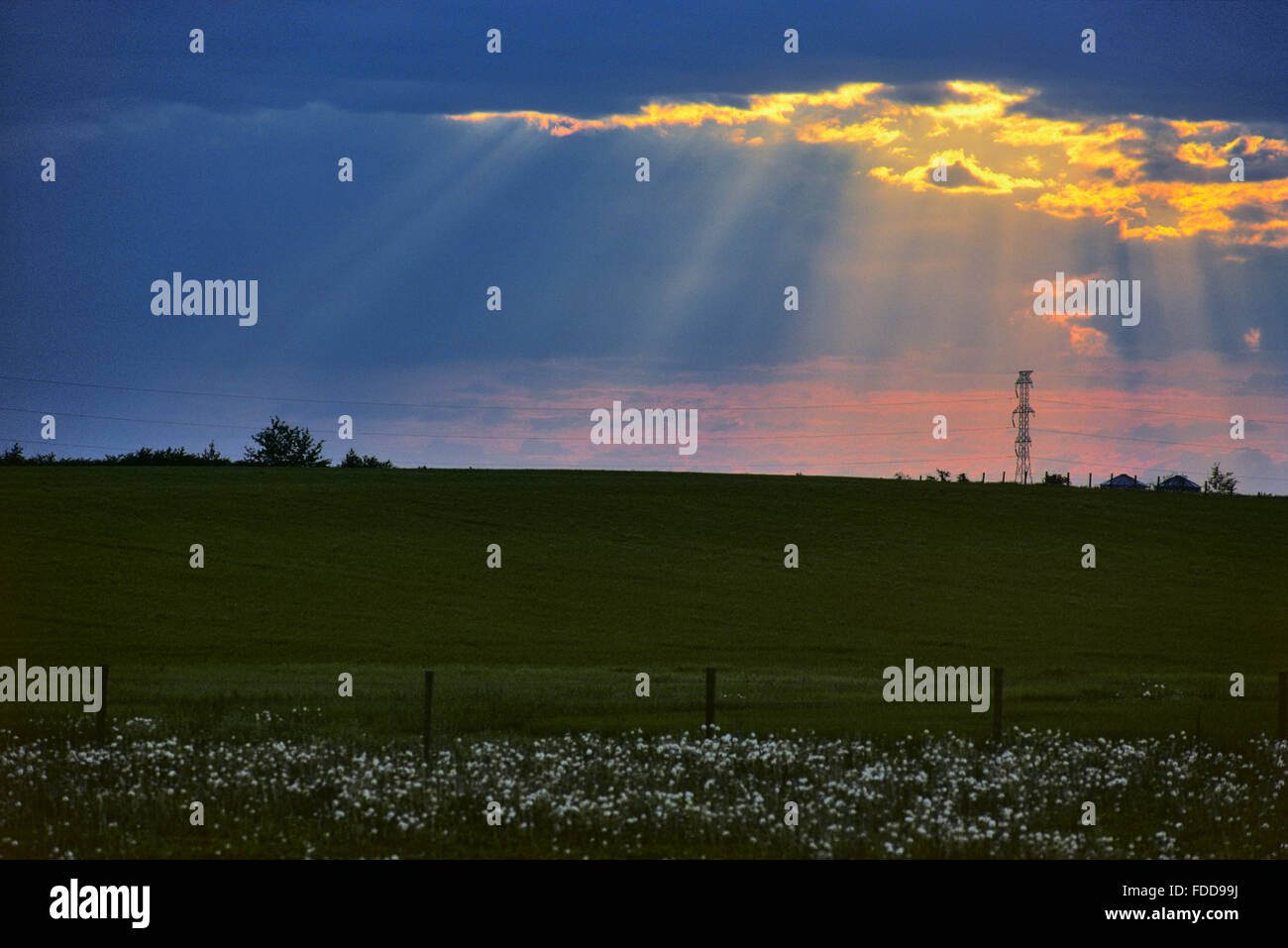 Alberta Farm country Stock Photo - Alamy