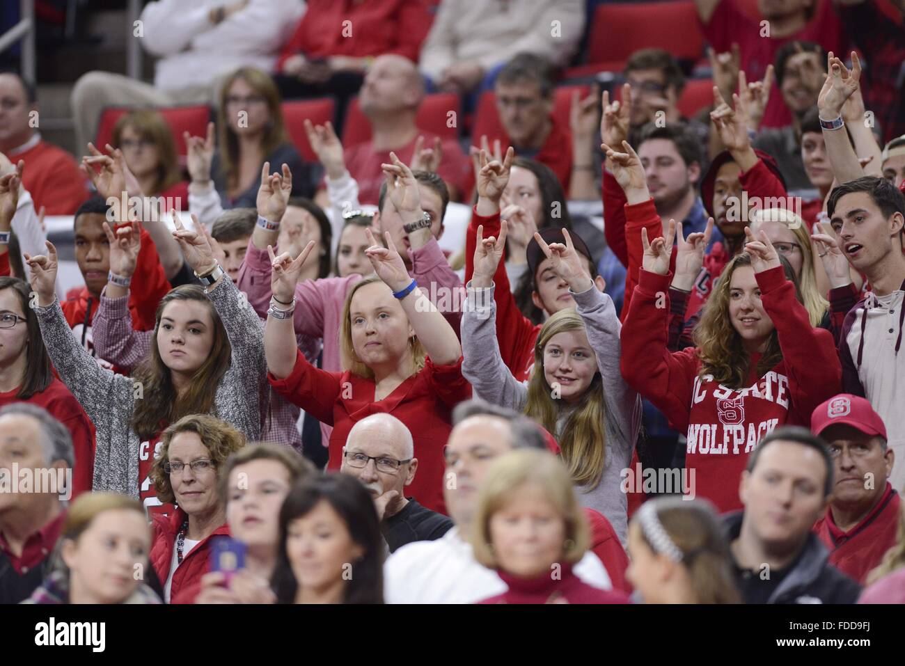 Ncsu wolfpack hi-res stock photography and images - Alamy