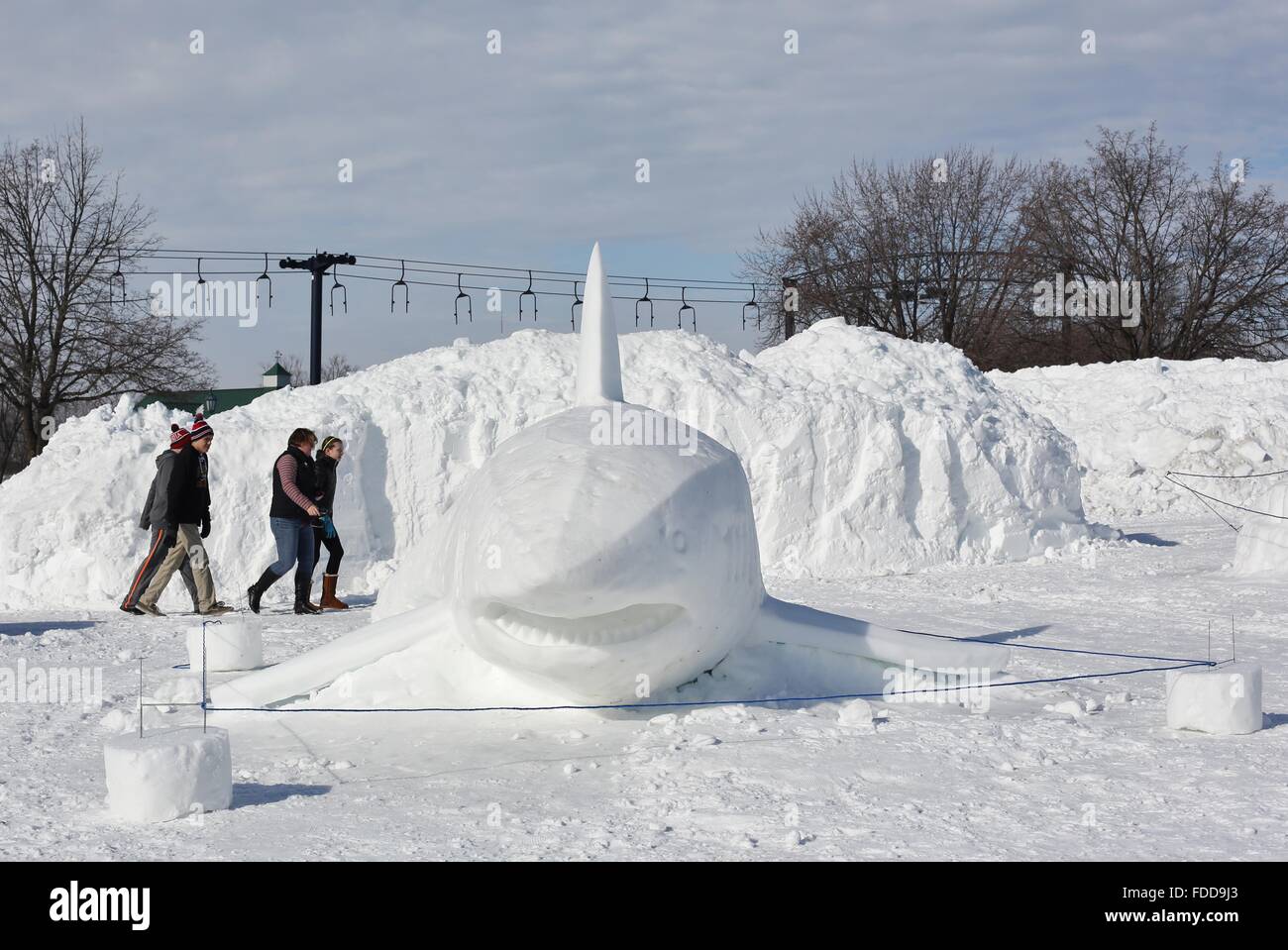 Shark Made Out Of Snow