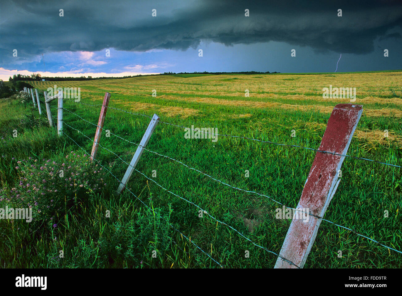 Lightning and storm by Alberta Farm Stock Photo - Alamy