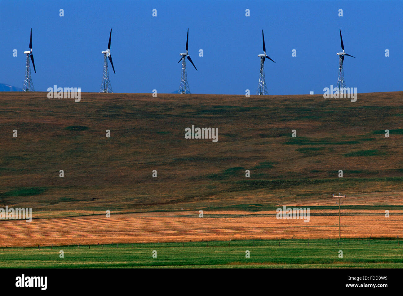Wind farm in Southern Alberta, Canada Stock Photo - Alamy
