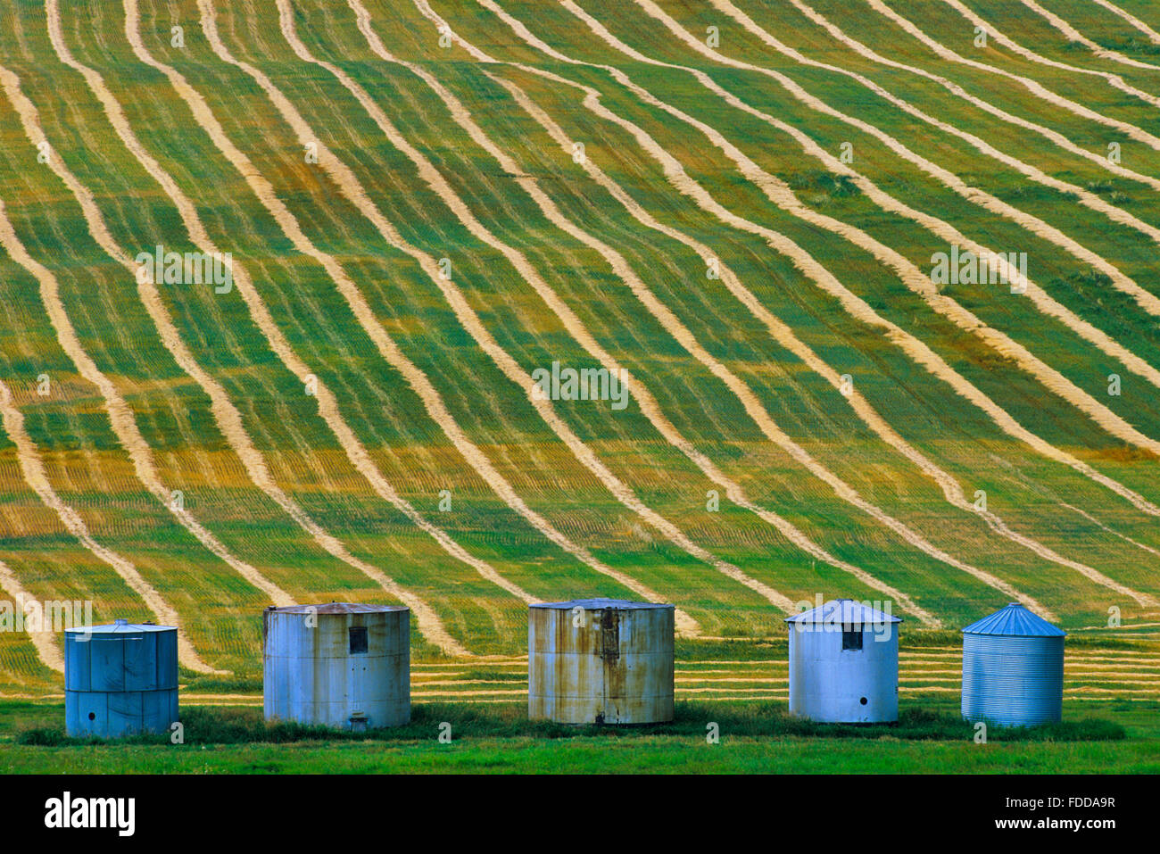 Farm land in Southern Alberta, Canada Stock Photo - Alamy