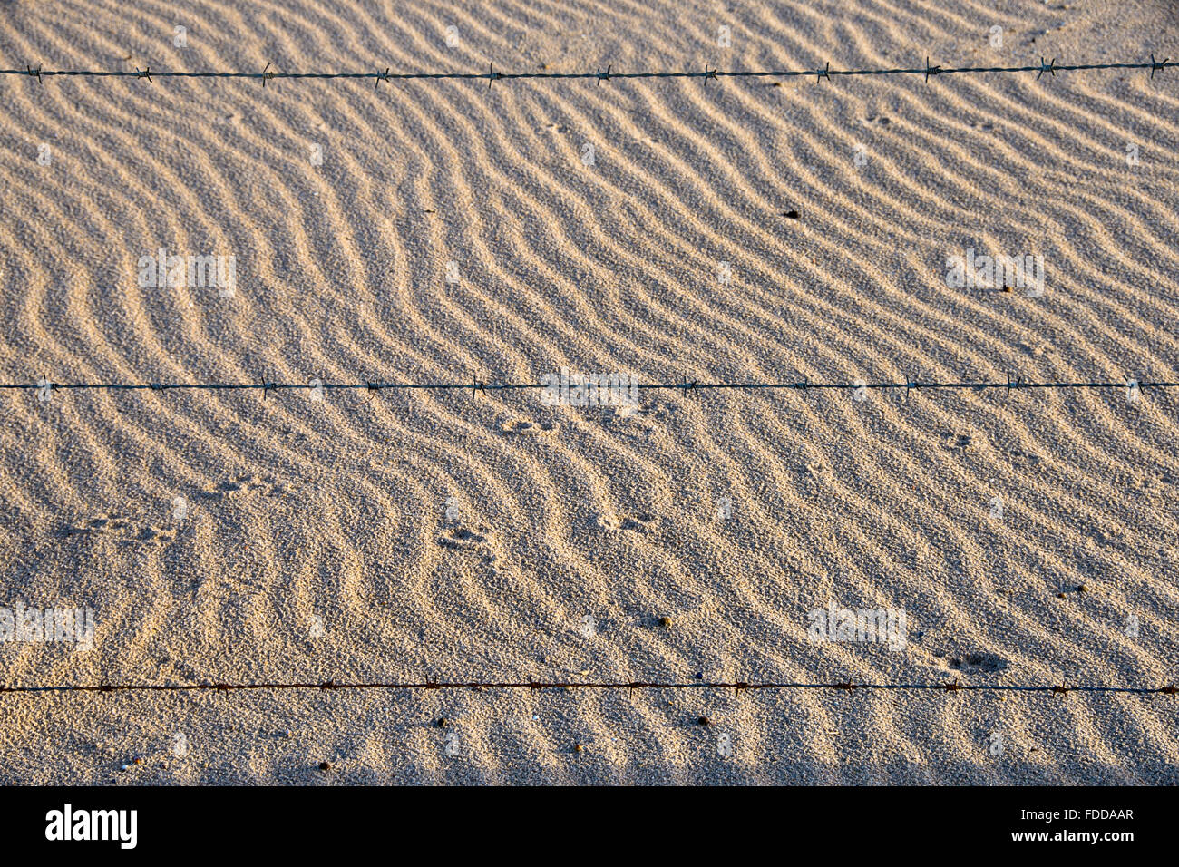 pattern in sand at beach Stock Photo - Alamy