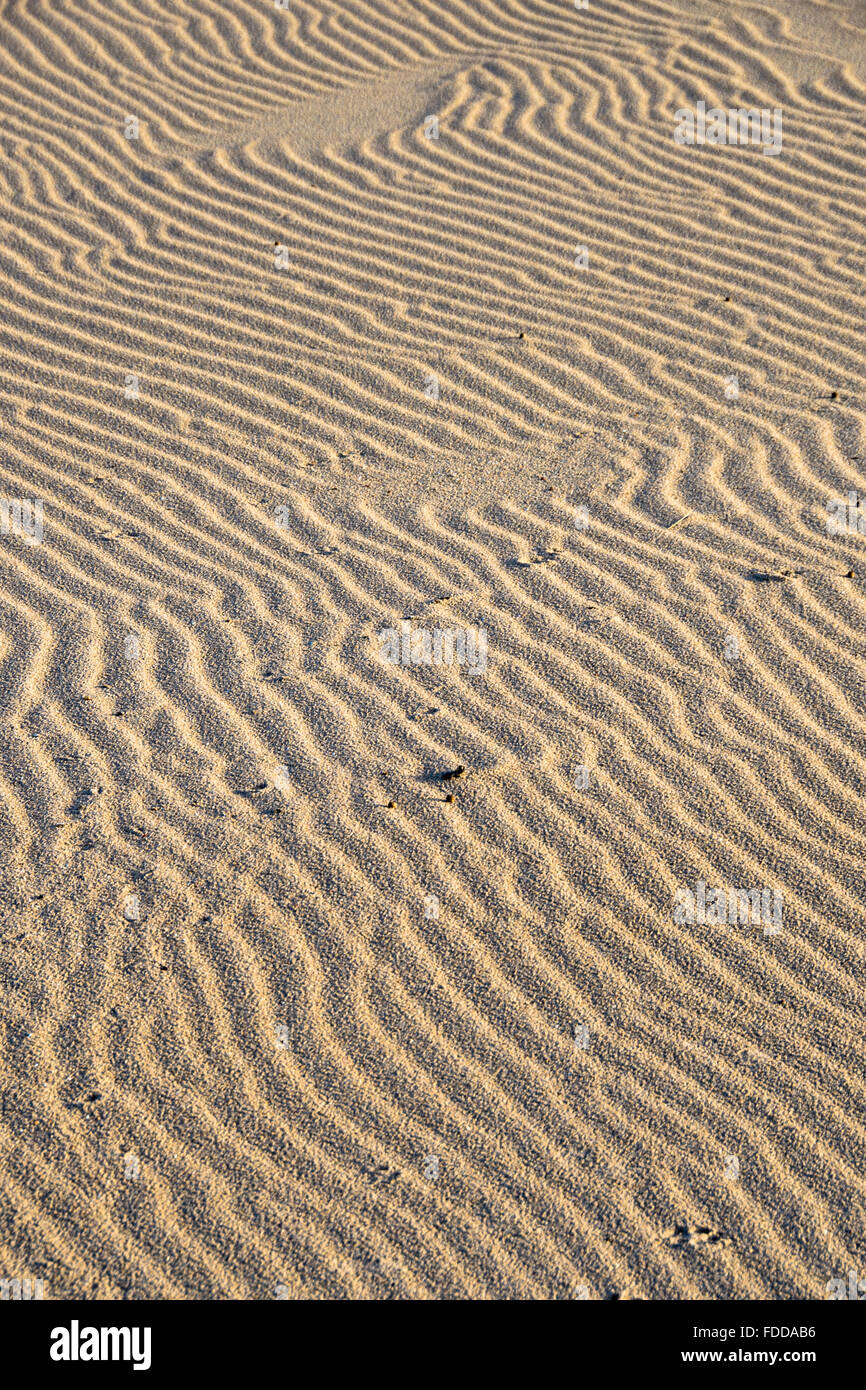 pattern in sand Stock Photo - Alamy