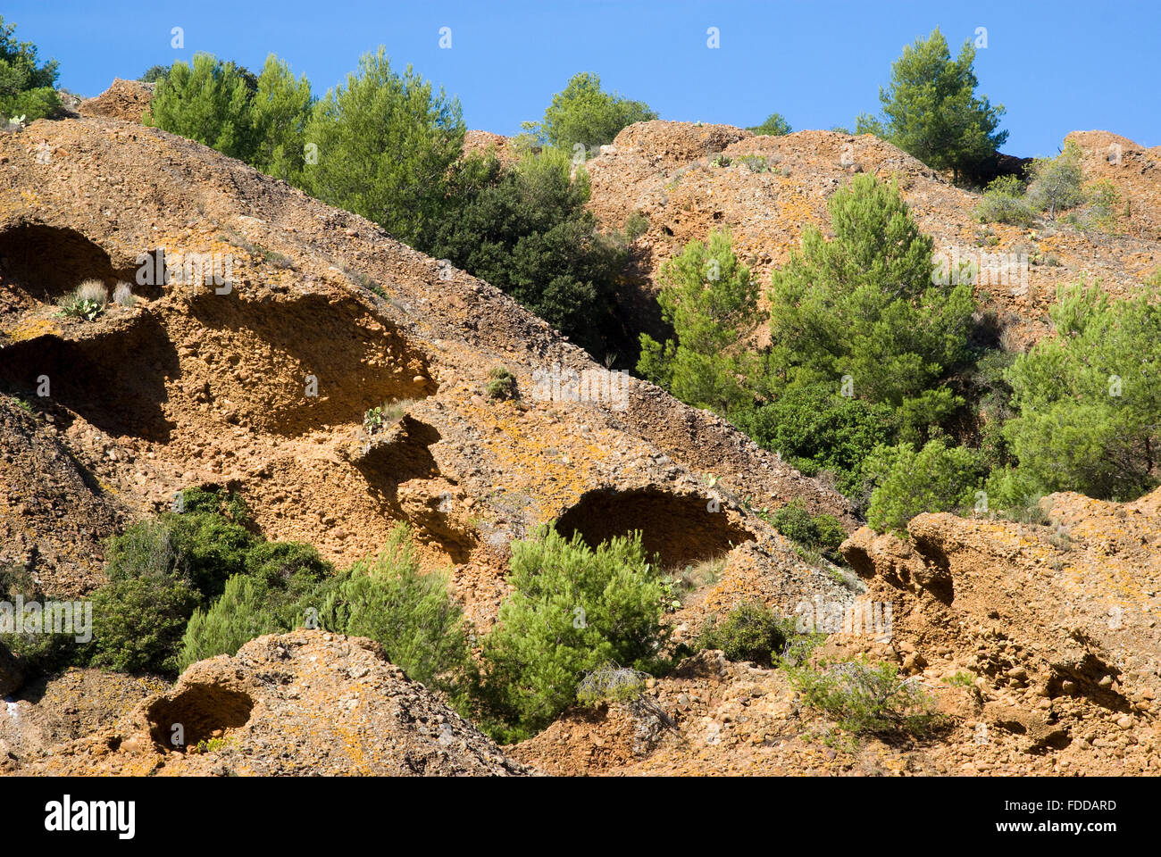 The limestone cliffs of the Calanques national park in Southern France ...