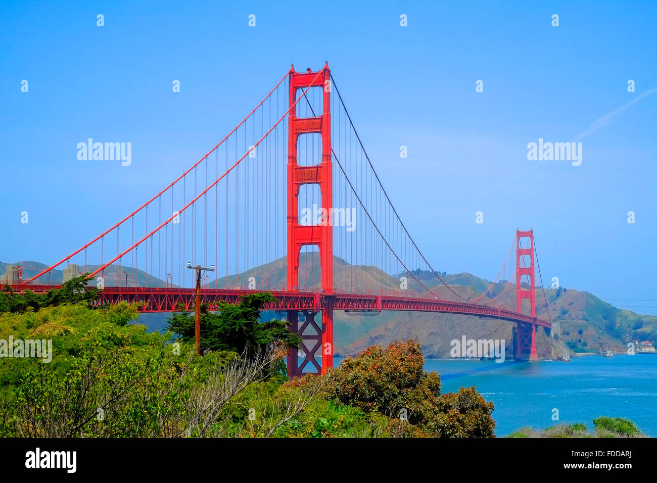 101 golden logo design hi-res stock photography and images - Alamy