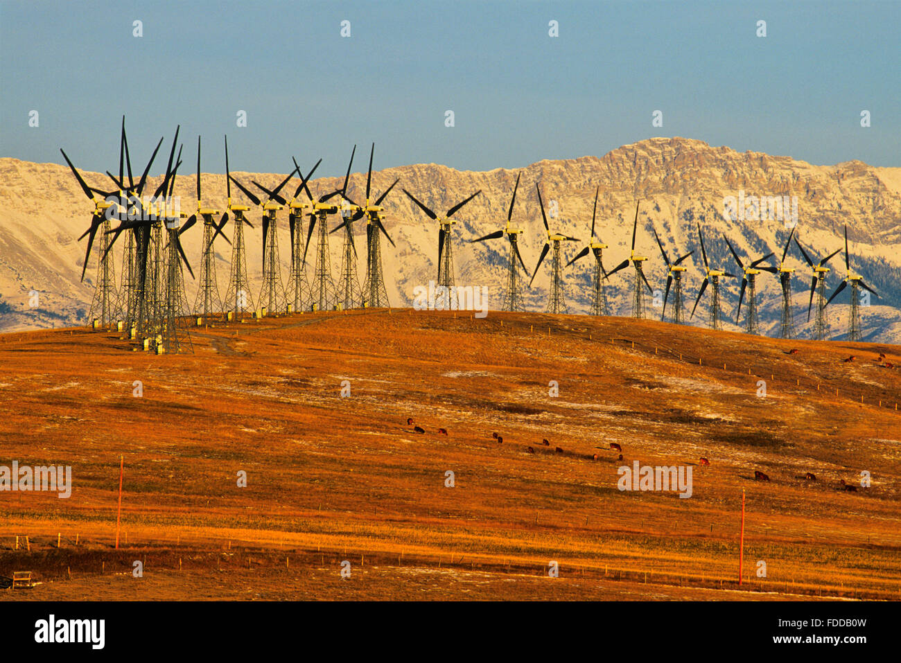 Wind farm in Southern Alberta, Canada Stock Photo - Alamy