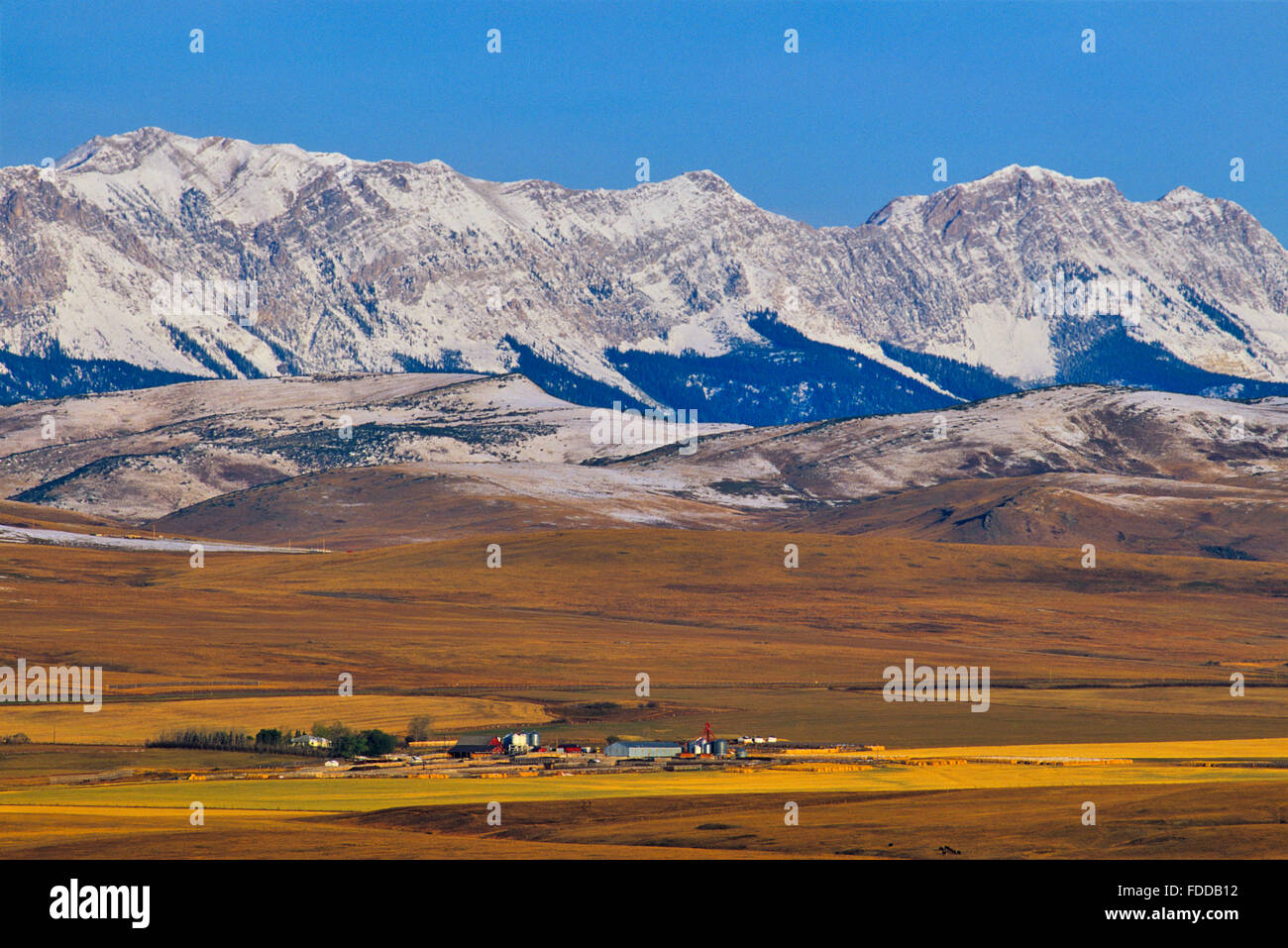 Farm land in Southern Alberta in winter, Canada Stock Photo - Alamy