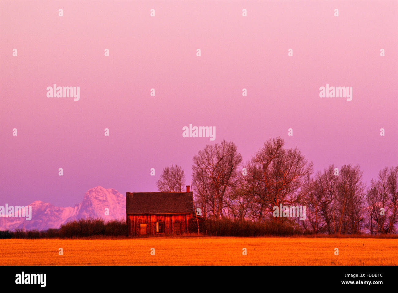 Farm land in Southern Alberta in winter, Canada Stock Photo - Alamy