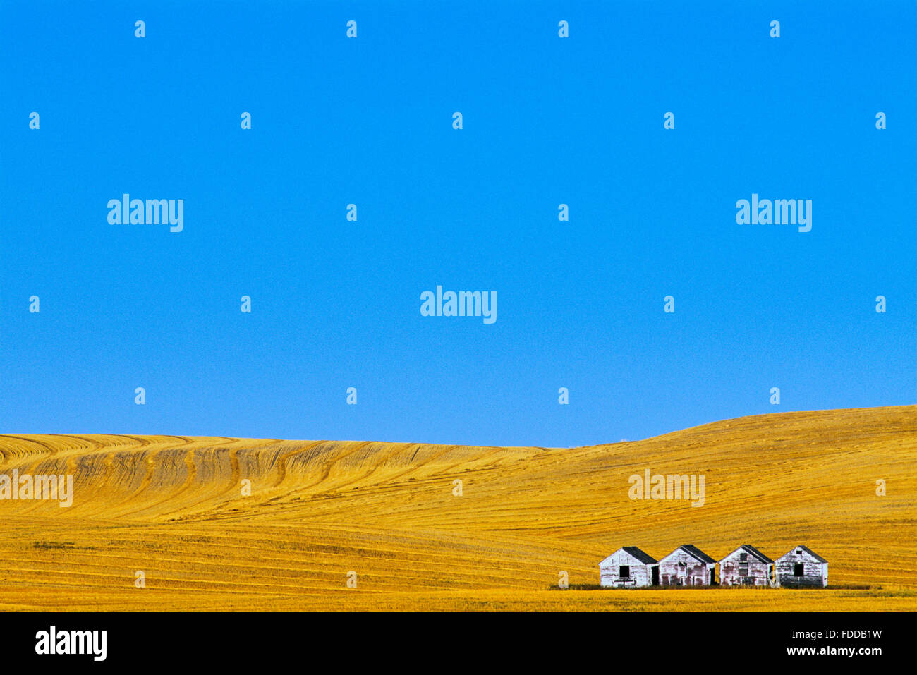 Farm land in Southern Alberta in winter, Canada Stock Photo - Alamy