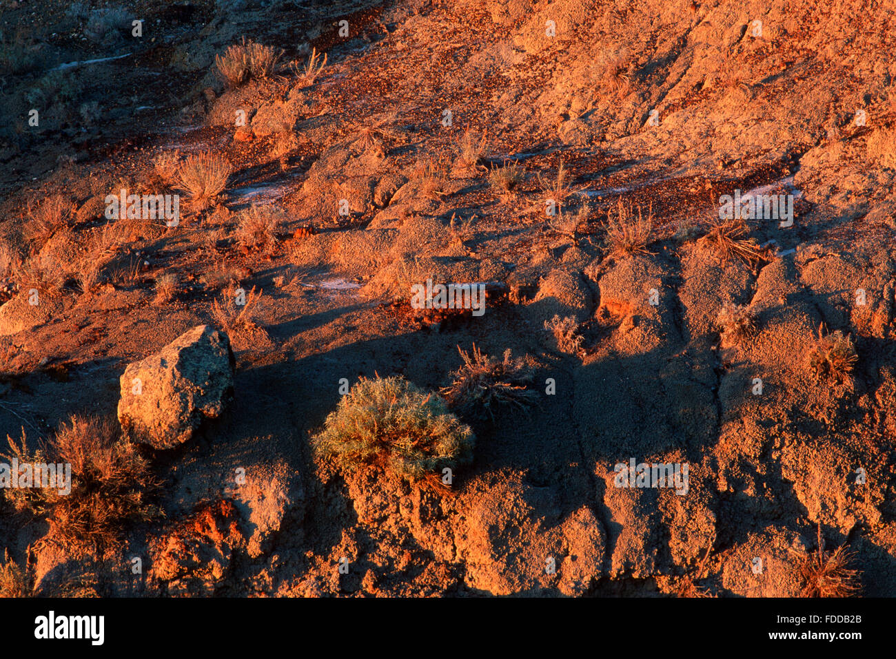 The badlands in Southern Alberta, Canada Stock Photo - Alamy