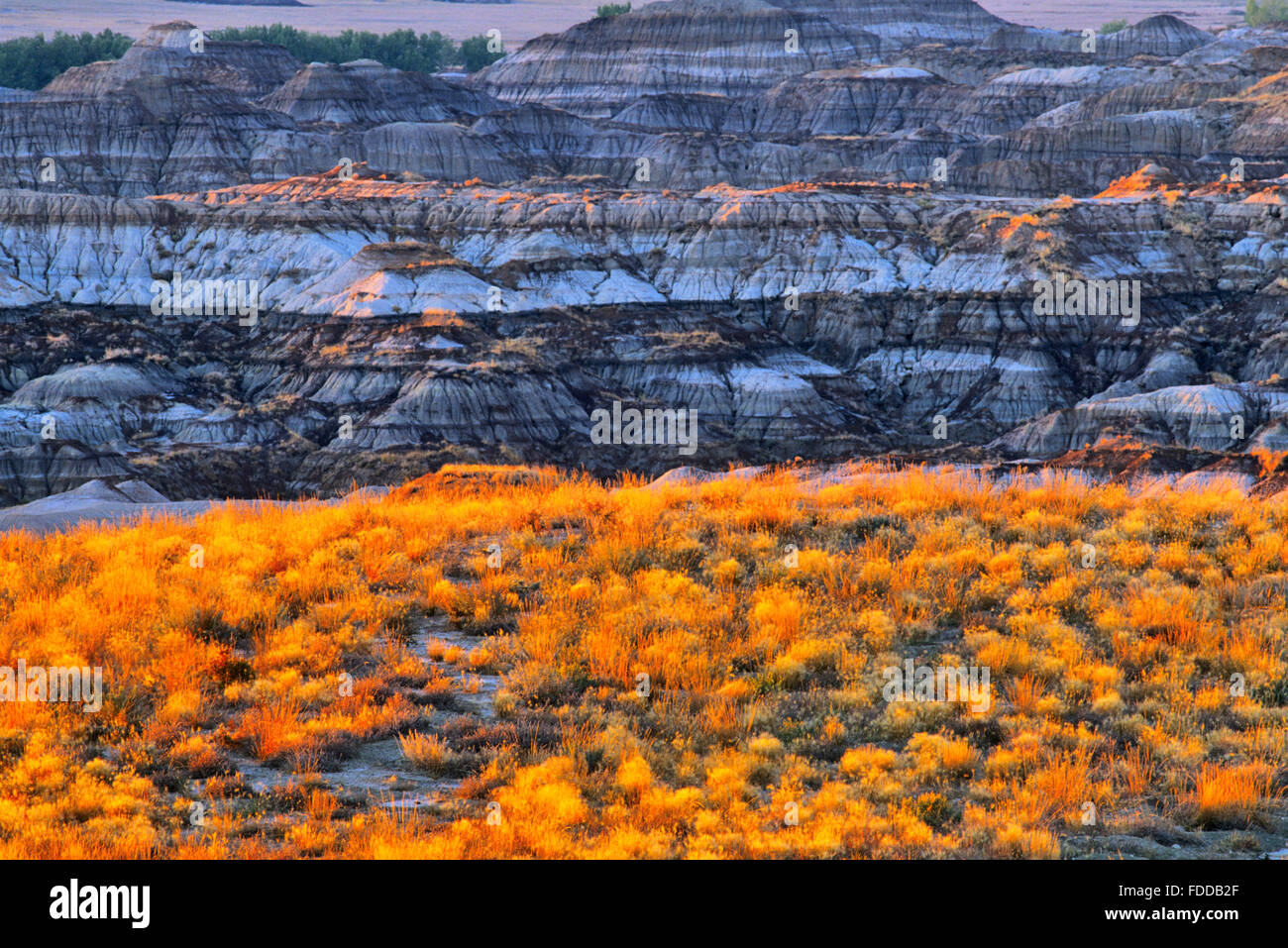 The badlands in Southern Alberta, Canada Stock Photo - Alamy