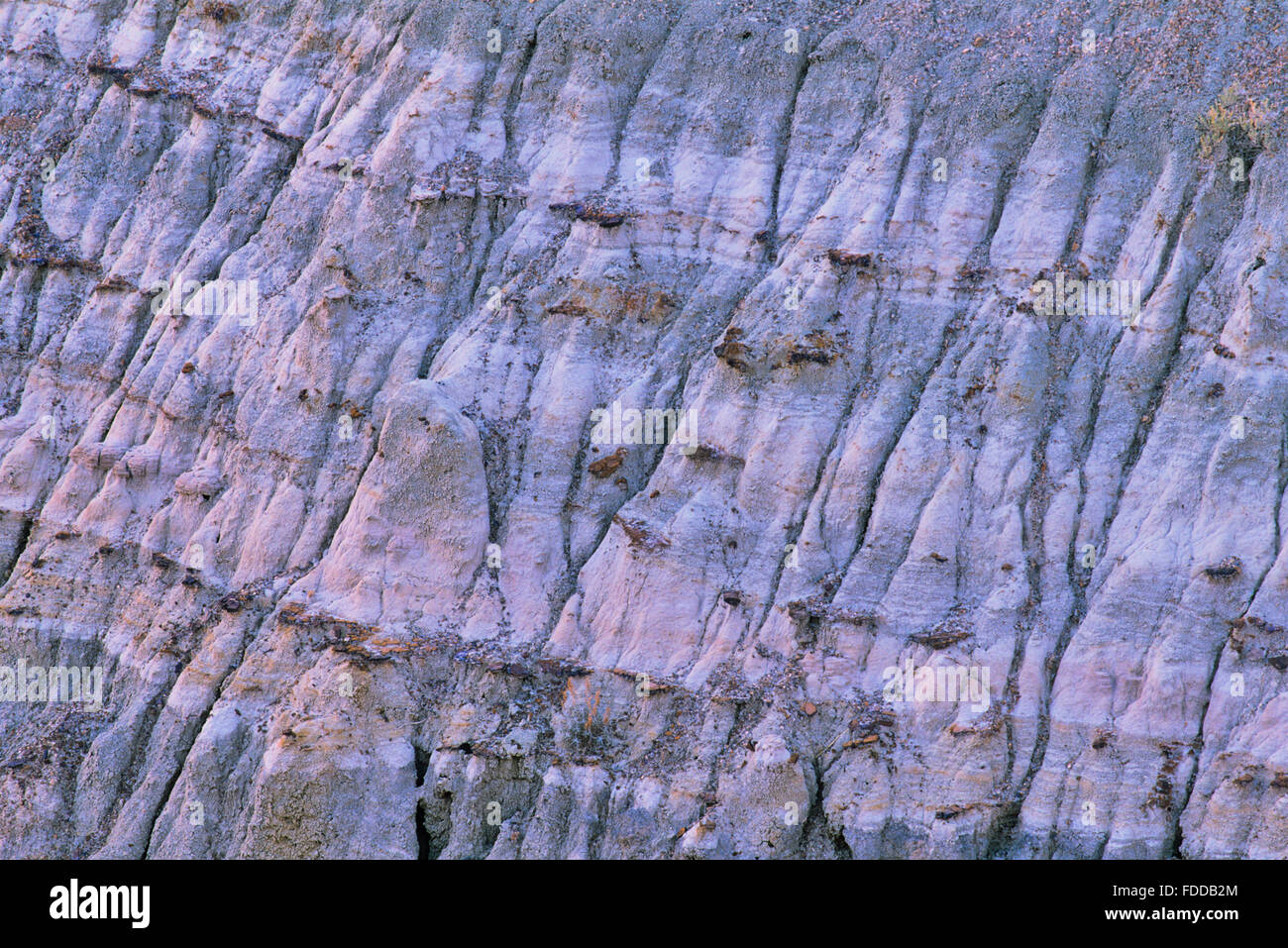 The badlands in Southern Alberta, Canada Stock Photo - Alamy